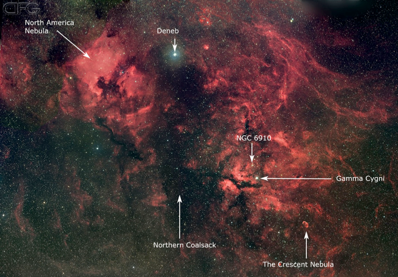 To the Land of Dreams: Cygnus