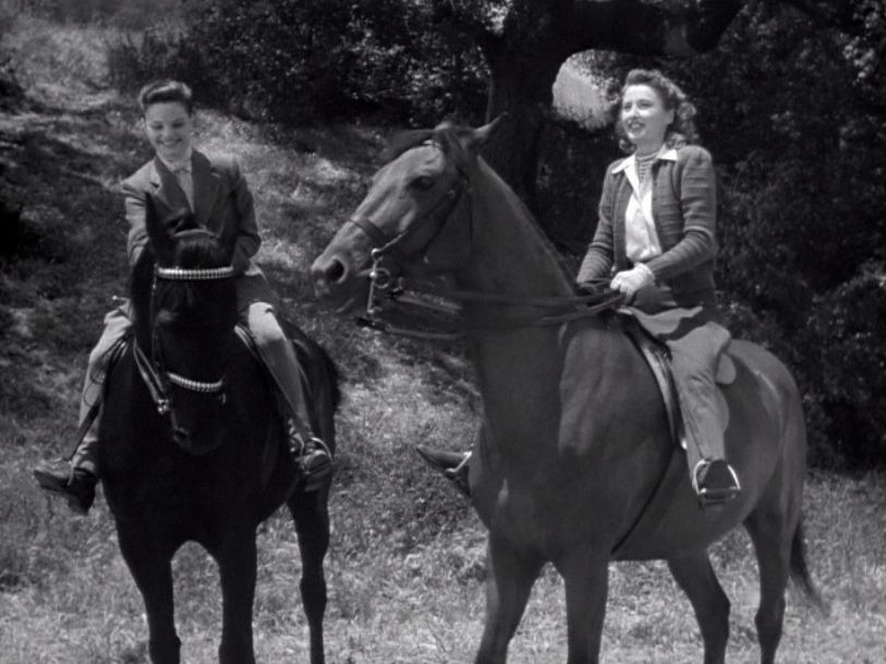 Errol Flynn and Barbara Stanwyck shine in... Cry Wolf (1947) - Hollywood Radar