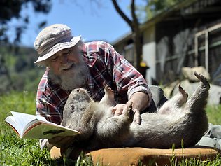 Outback Snack Australia: Wombat Recipe