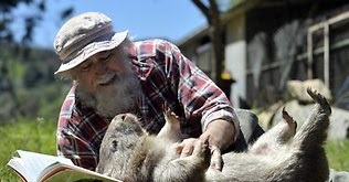 Outback Snack Australia: Wombat Recipe