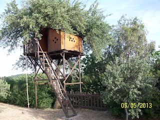 ΤΑΡΑΤΣΟΚΗΠΟΣ...Ο ΚΗΠΟΣ ΤΩΝ ΠΟΛΕΩΝ: Δεντρόσπιτο Στο Καπανδριτι