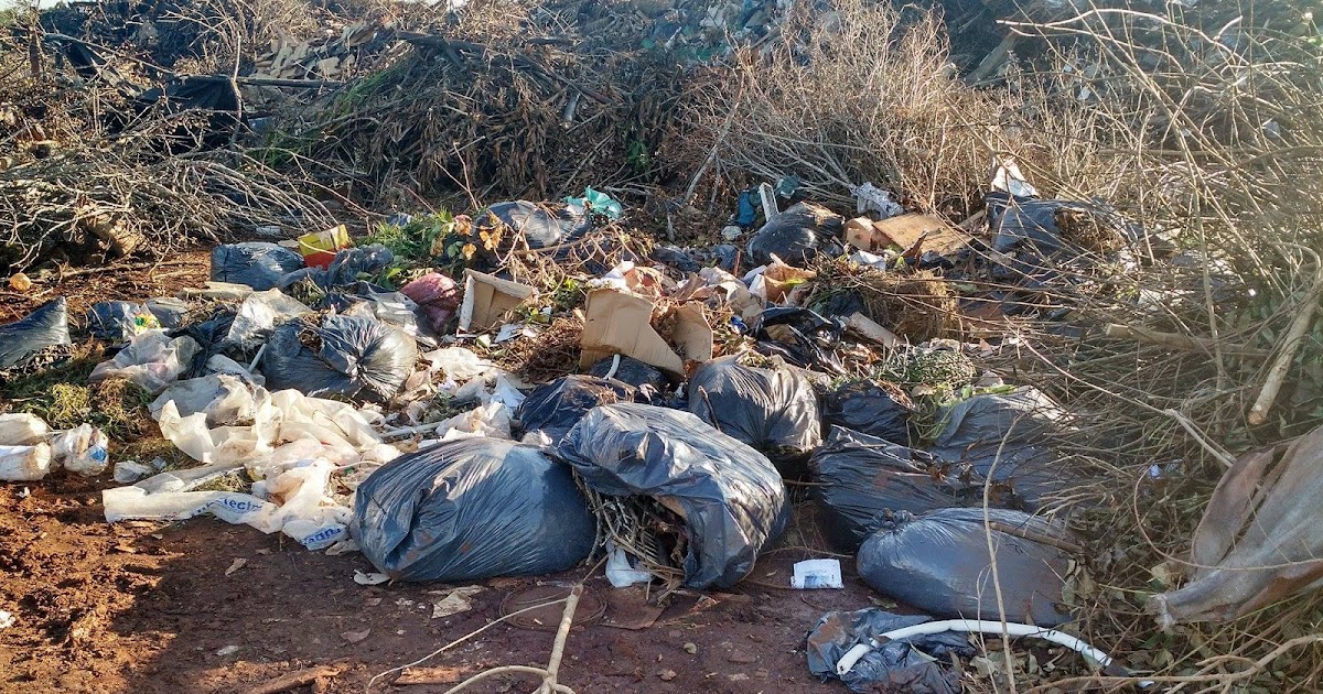El Periódico Misiones: La Municipalidad de Puerto Rico sigue arrojando ...