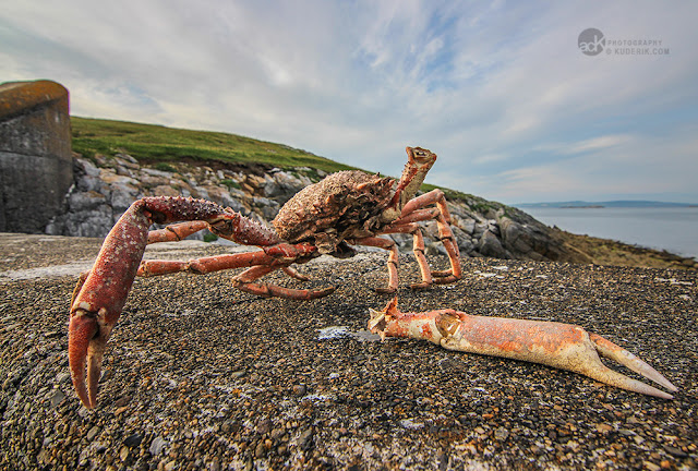 Scenic Landscapes of Fahamore Castlegregory, Co. Kerry, Ireland - Part ...