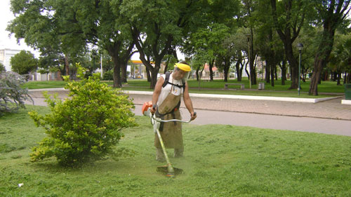 Desmalezado, limpieza barrido y poda de áreas verdes.: Desmalezado y ...
