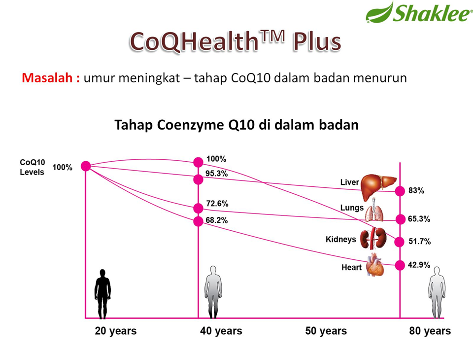 Apa itu Coenzyme Q10 | PAKAR CANTIK
