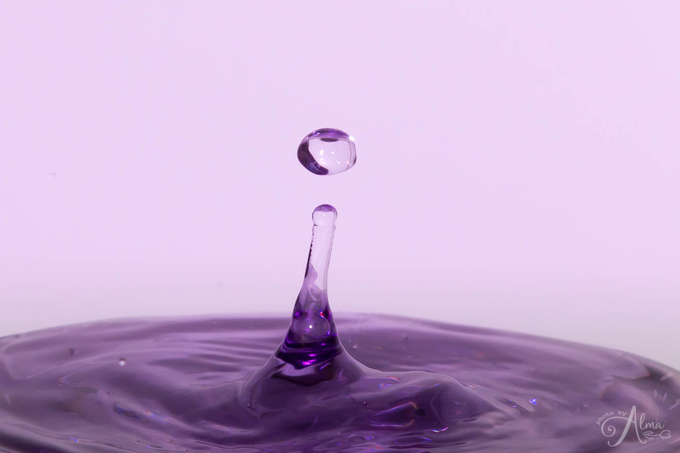 Druppel fotografie - Captured in a Lens