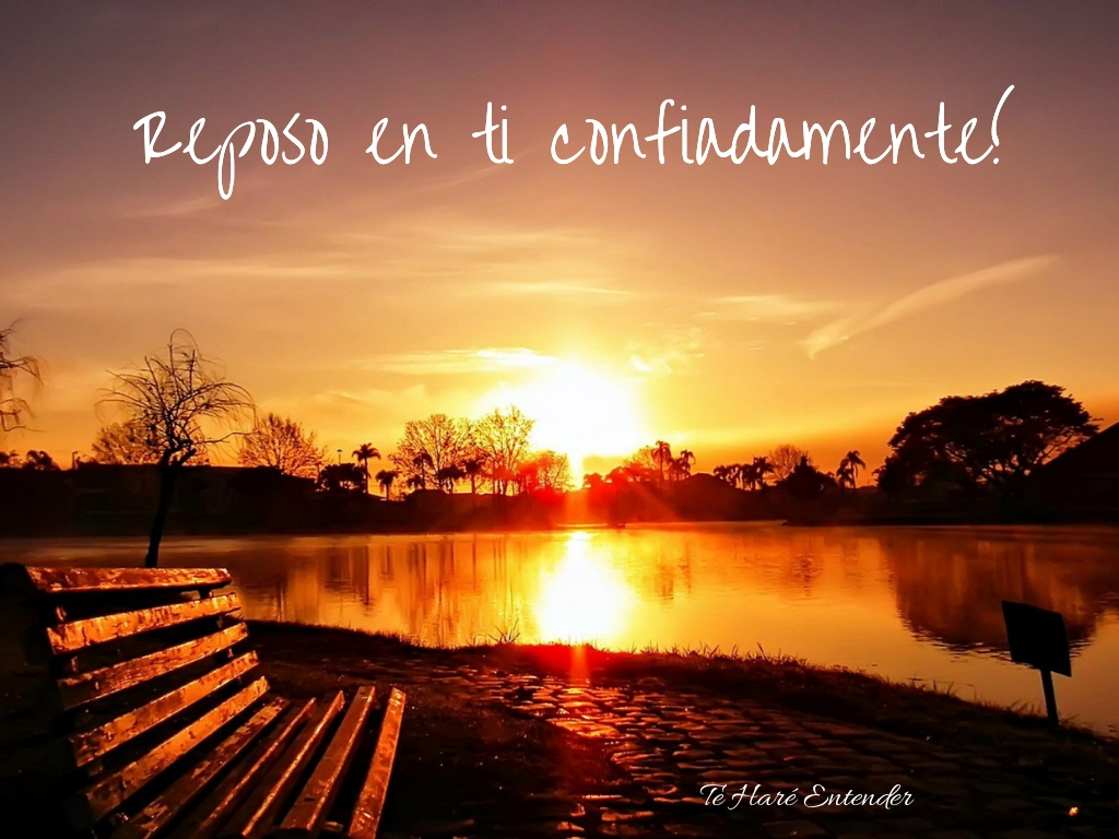 Te Haré Entender...: REPOSO EN TI CONFIADAMENTE