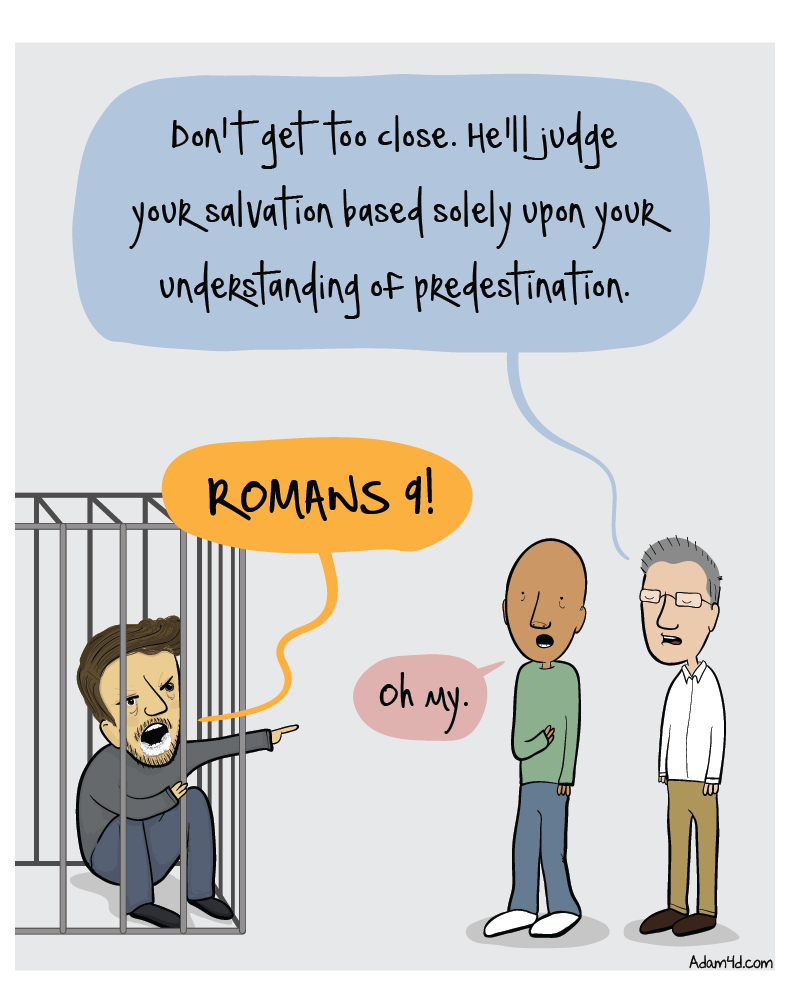 The Contemporary Calvinist: "Cage Stage" Calvinist