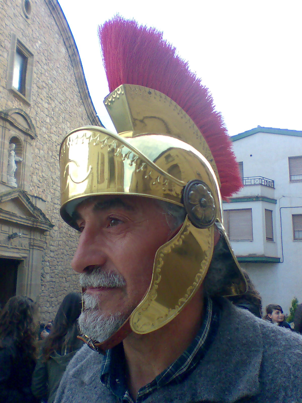 Aventuras en la Palma d´Ebre: PIJUS MAGNIFICUS