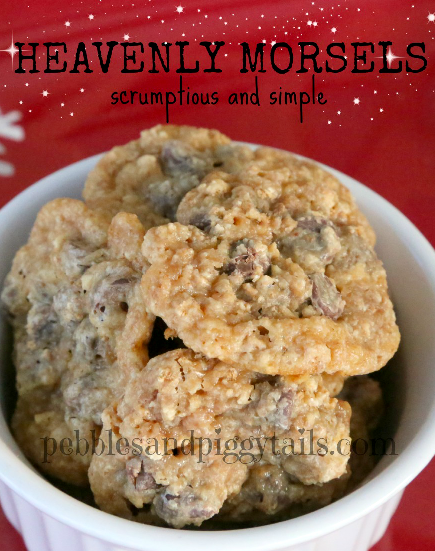 HEAVENLY MORSELS: The easiest cookie you'll ever make. | Making Life ...