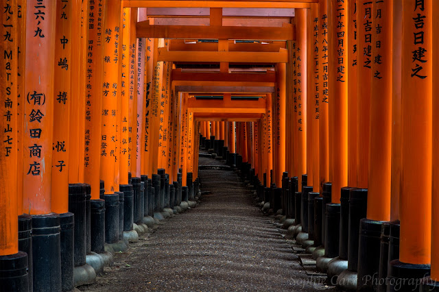 Sophie Carr's Photo Blog: Back to Japan - Day 5: The Wonderful Torii of ...