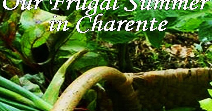 Author Sarah Jane Butfield: A Frogs Tale from Charente #RPBP #ASMSG