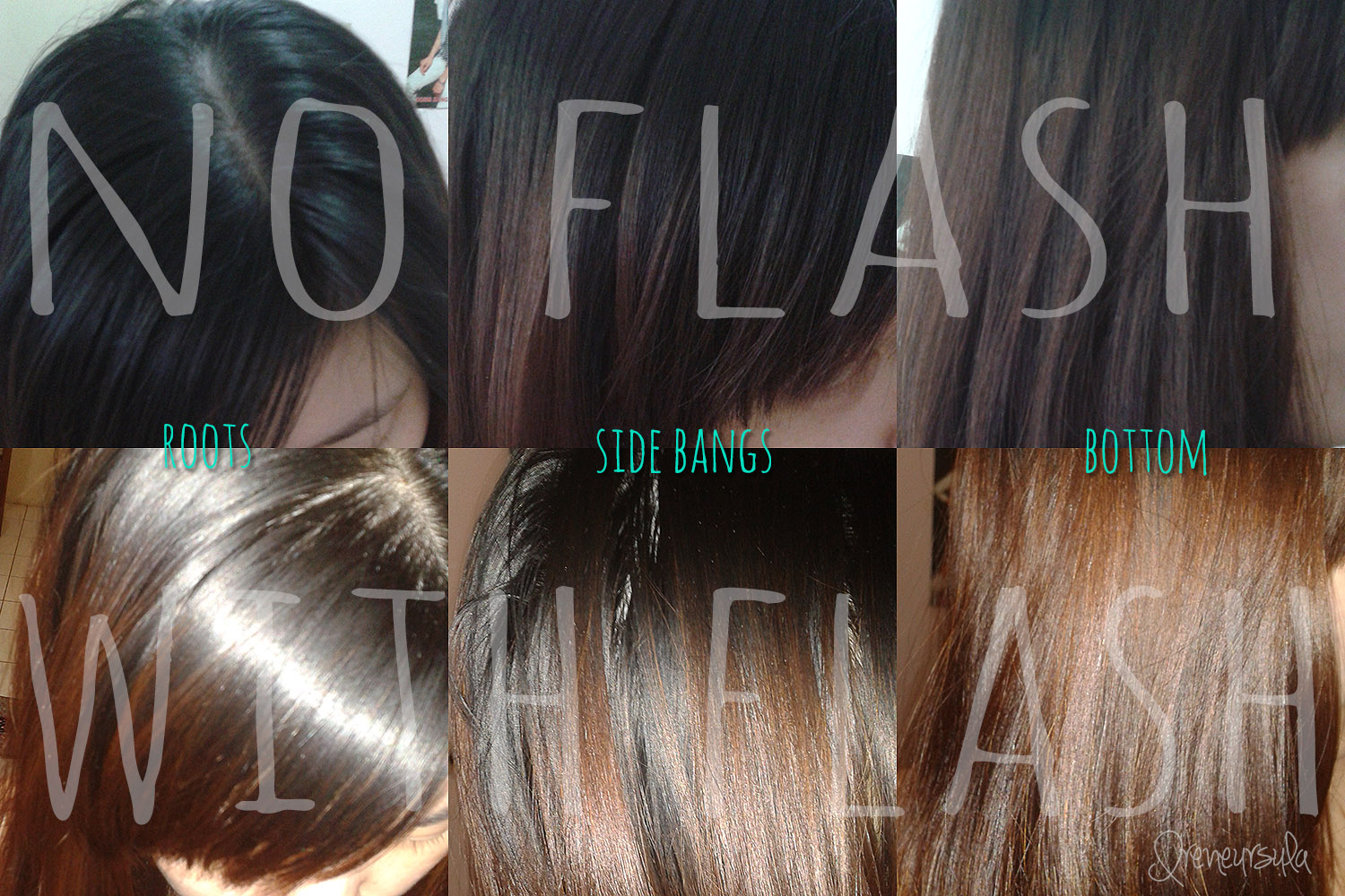 Hello!: Coloring My Hair With Freshlight Champagne Pink by Schwarzkopf