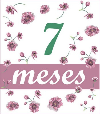 "Anjinho Lucas": O bebê de 7 meses