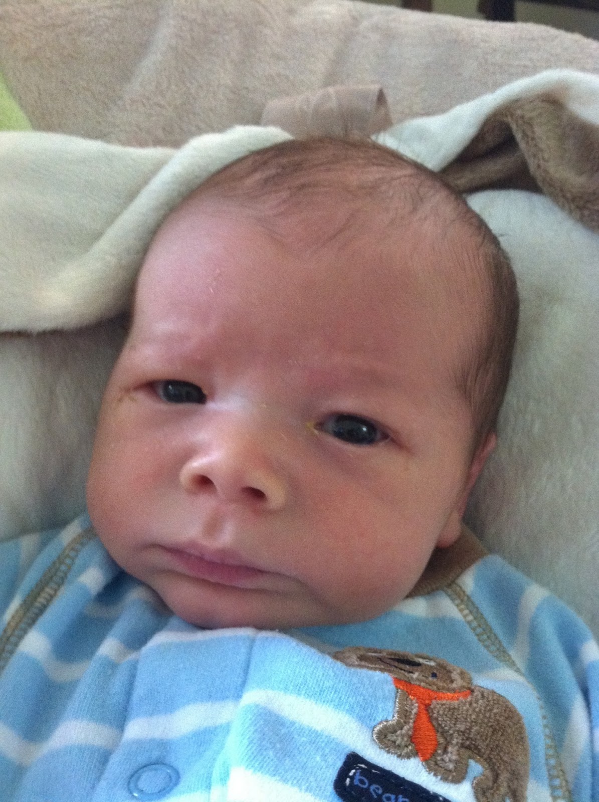 Hauck's Nest: The Many Faces of Max