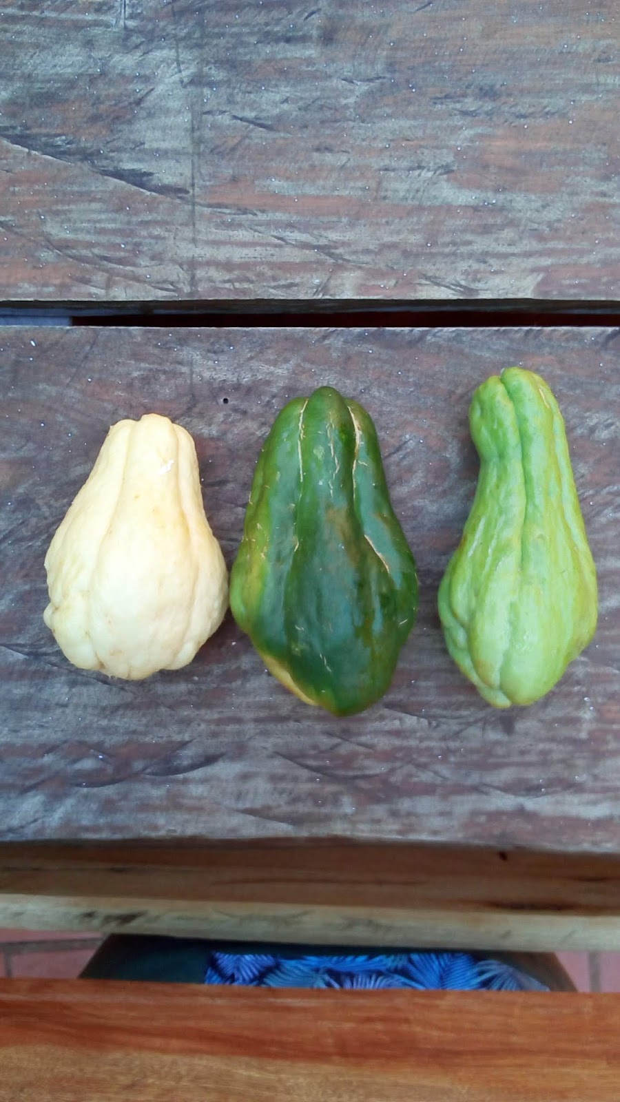 De la tierra colorada: Papa del aire, chuchu, güisquil o chayote.