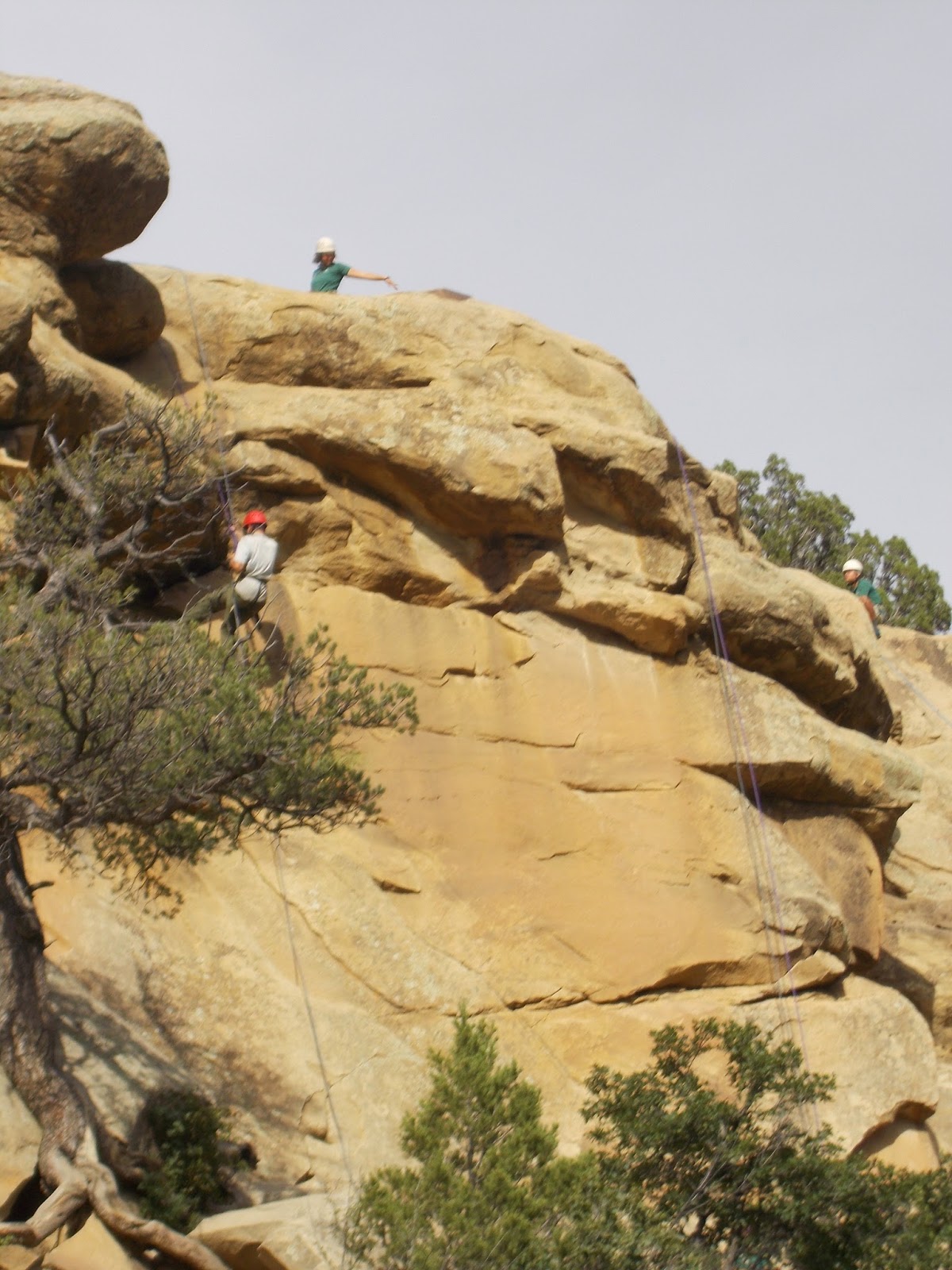 scott's ravings: Philmont Scout Ranch - Day Ten - Dean Cow and the ...