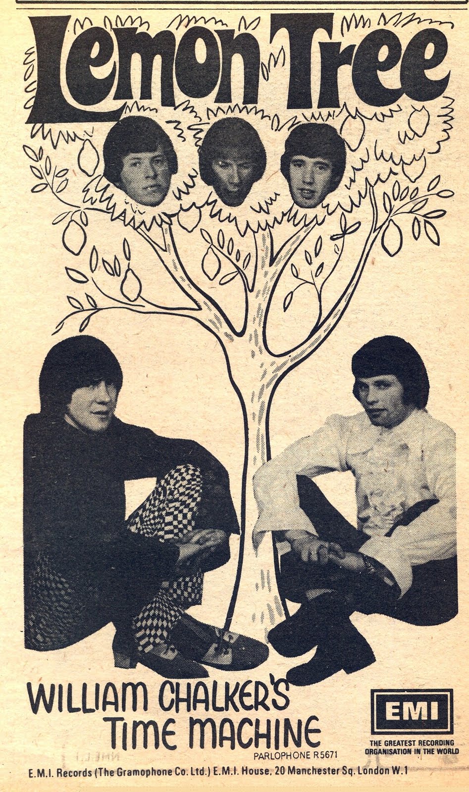 Yellow Lemon Tree Beatles at Stephanie Wolfe blog