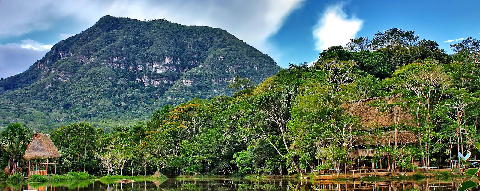 ¿Es la selva un paraíso?