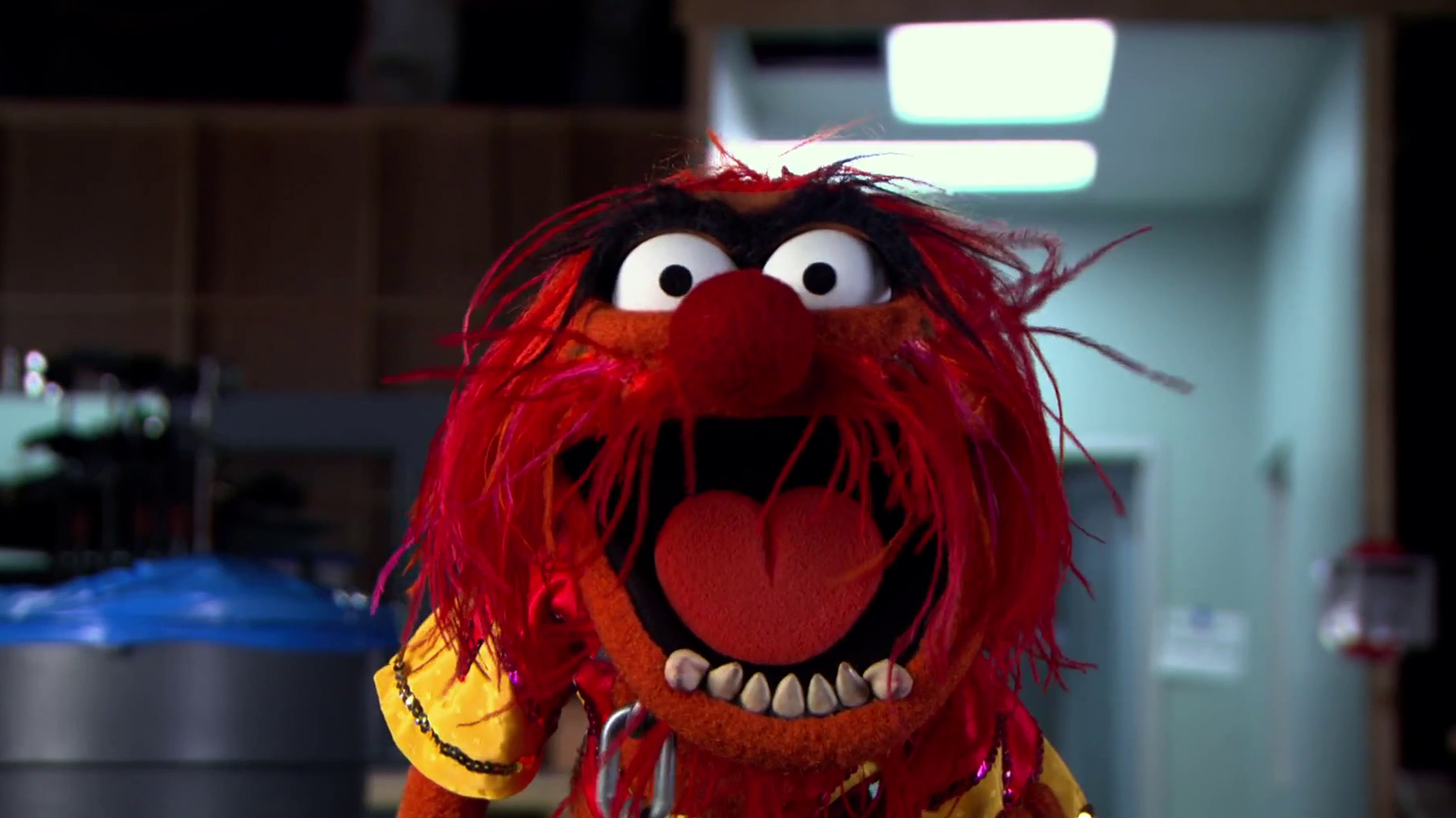 Muppets animal wallpaper - Imagui