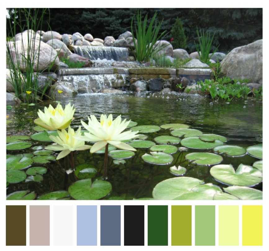 Dhariana Scraps: Pond Life Freebie PS Blogtrain