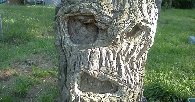 Pareidolia: The Grumpy Tree