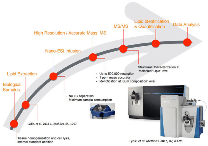 Techniques Used in Lipidomics Analysis