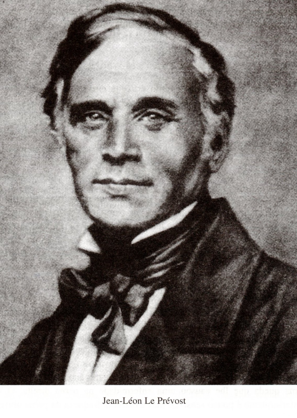 Conferência São Vicente de Paulo de Mafamude: Modelo Família Vicentina ...