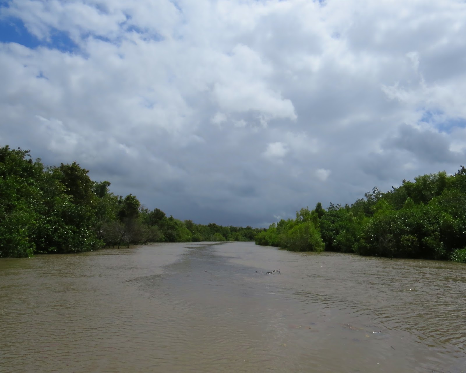 North Queensland Trip, Part 2