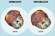 The Neurocritic: June 2013