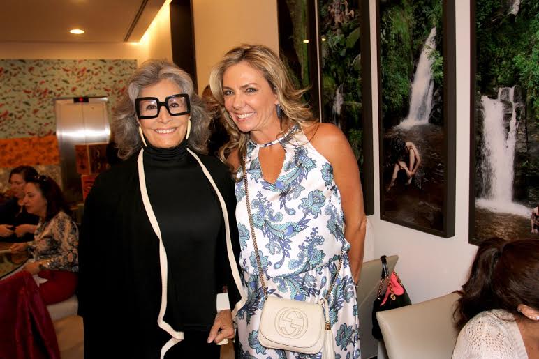 Terezinha Sodre: ALESSANDRA PIROTELLI E FABIOLA DAVI NA CASA CÔR ...