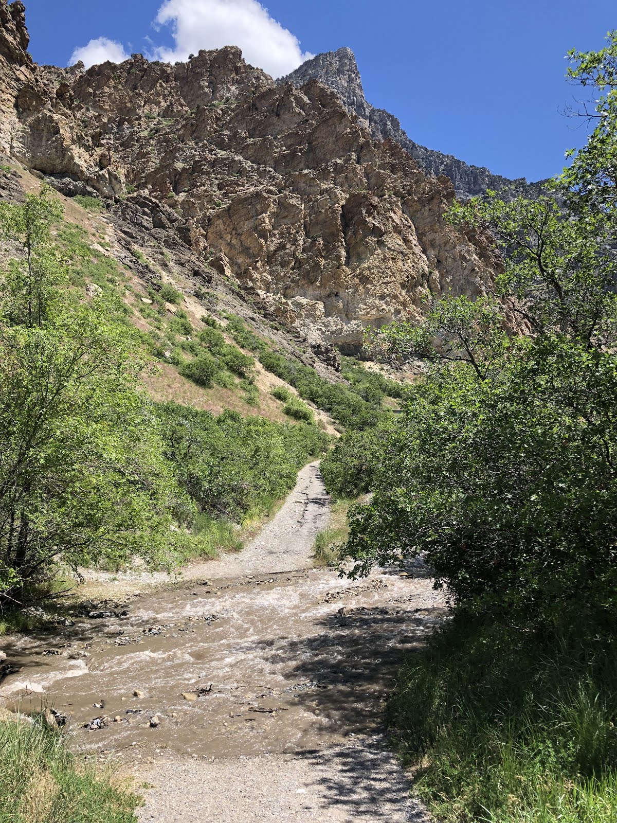 Walking Arizona: Spring Runoff in Rock Canyon, Wasatch Front, Provo, Utah