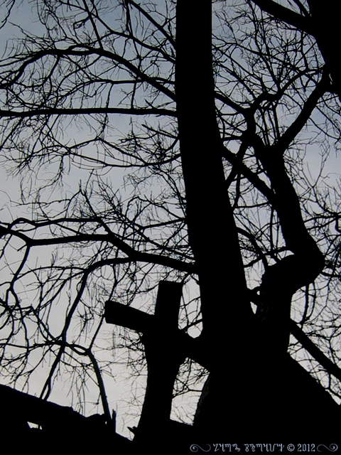 The Arte of Lady Straif: The Cross Tree