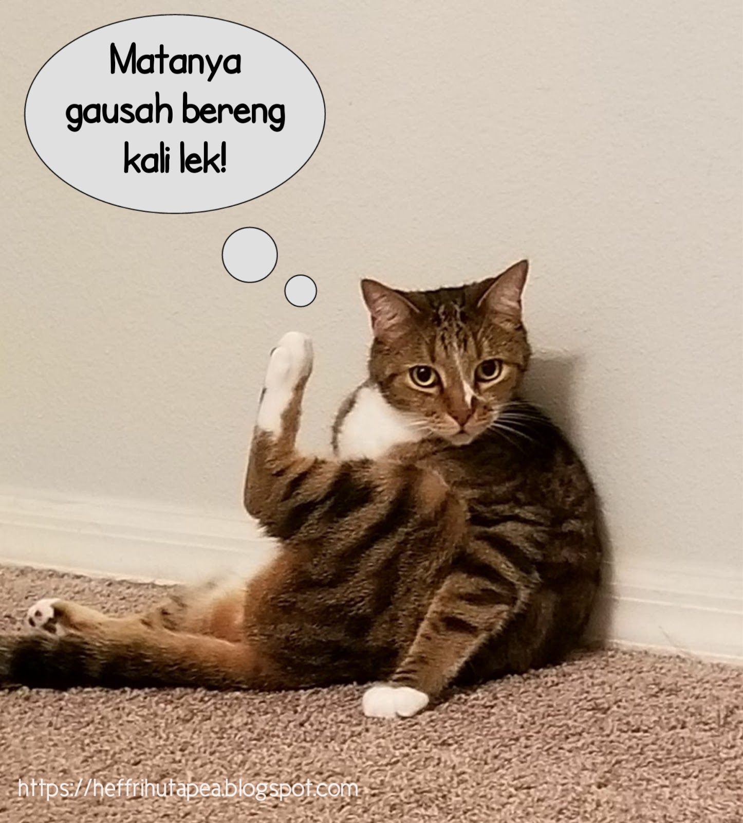 5 Cerita Lucu Bahasa Batak Bikin Ketawa - Heffri Hutapea Blog