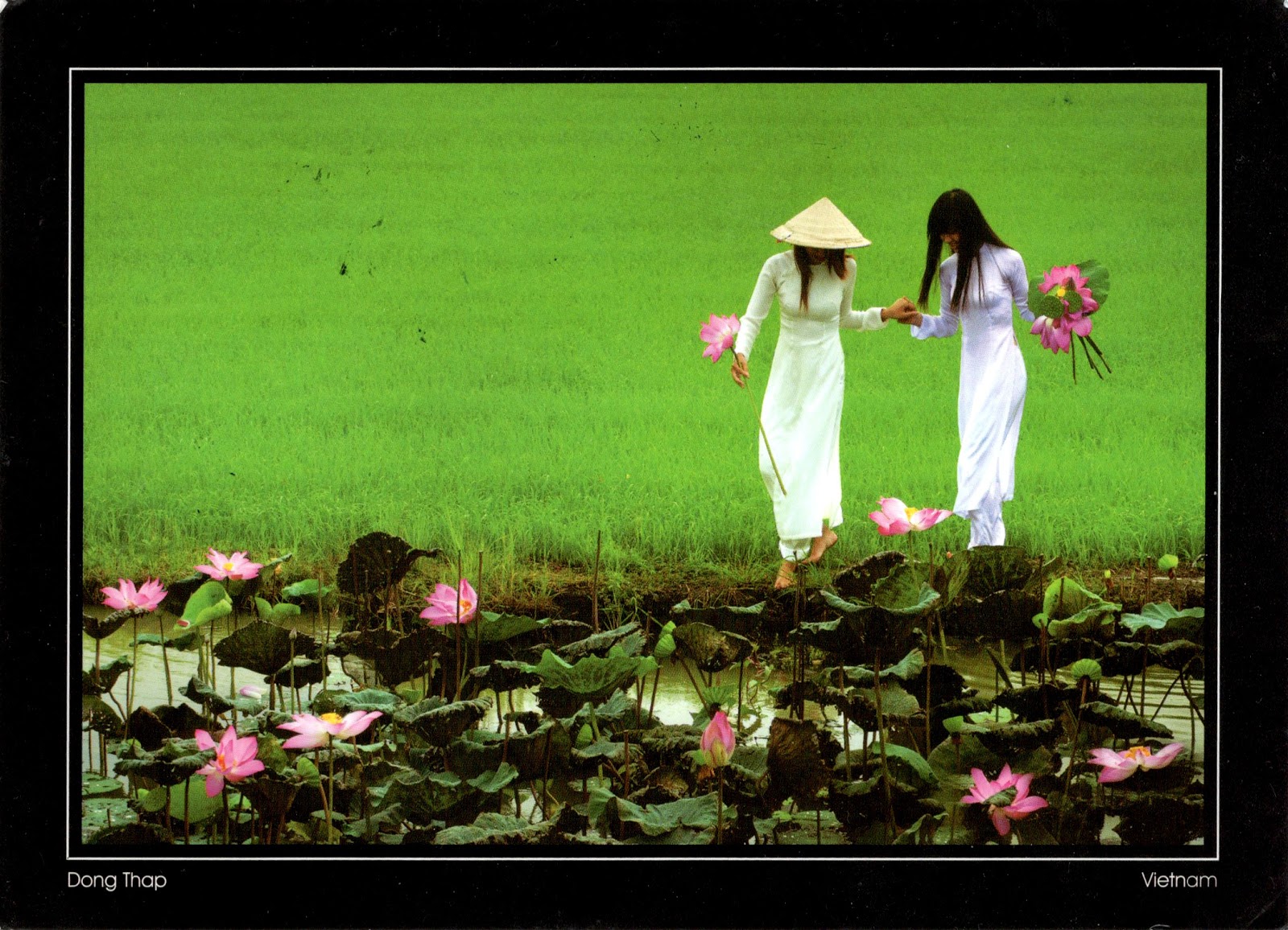 WORLD COME TO MY HOME 3075 VIETNAM Mekong Delta ng Th p Girls world-come-to-my-home-3075-vietnam-mekong-delta-ng-th-p-girls