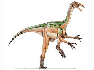 LOS DINOSAURIOS DE MANU: HARPYMIMUS