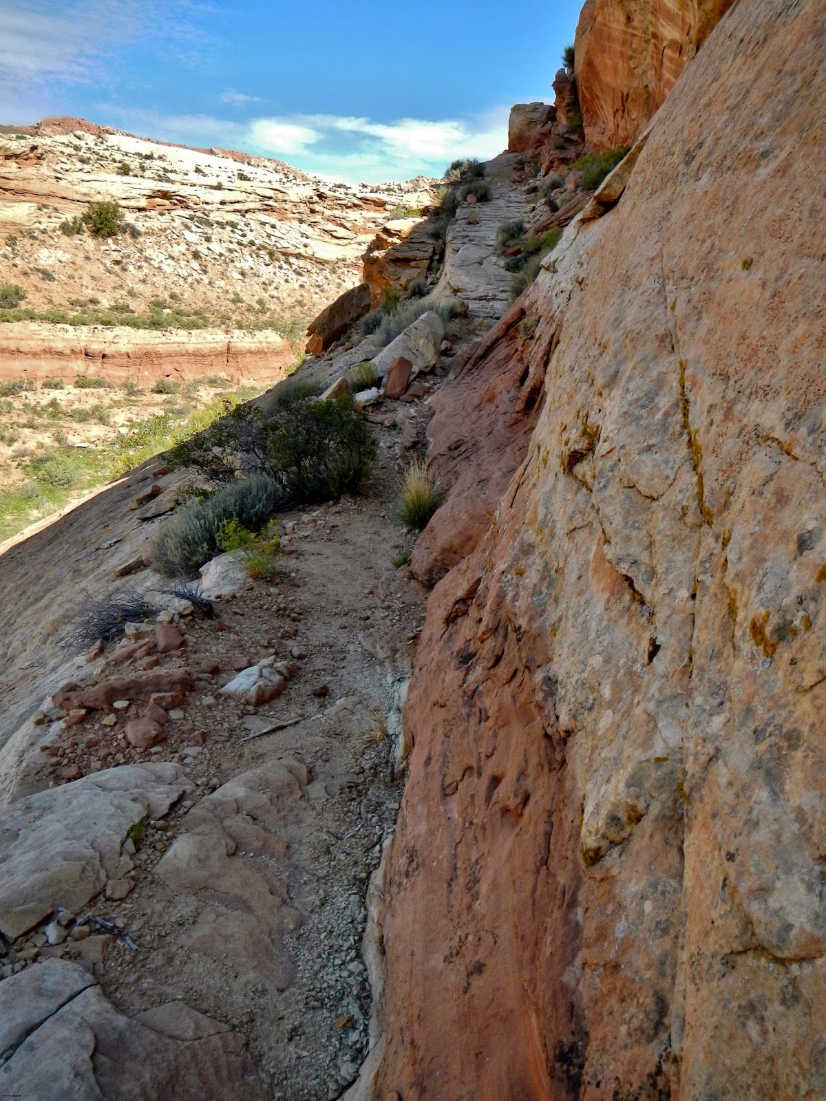 The Southwest Through Wide Brown Eyes: Wolfman Panel and Ruins - Comb ...