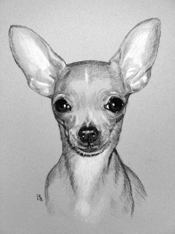 Rita Kirkman's Daily Paintings: "ChiChi" a Detailed Pet Pencil Portrait