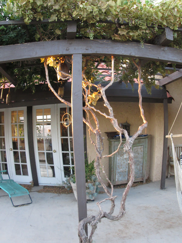 Roadrunners and Figgy Pudding: Whatz that? - Barstow vines