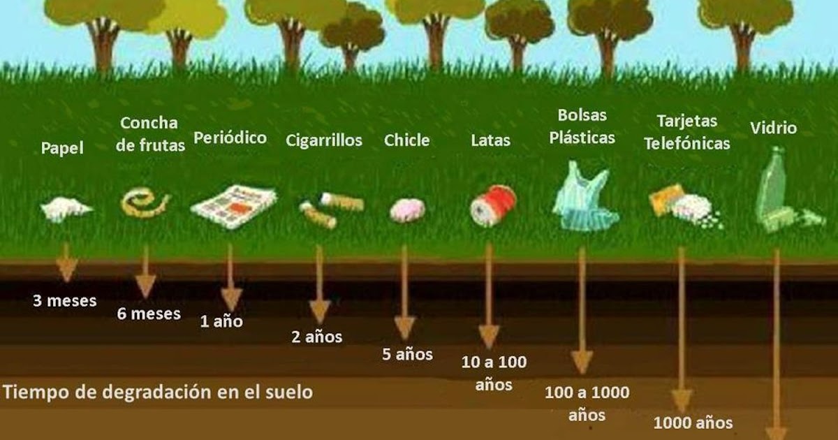 Green Tips: ¡Utiliza productos Biodegradables y cuida de nuestro planeta!