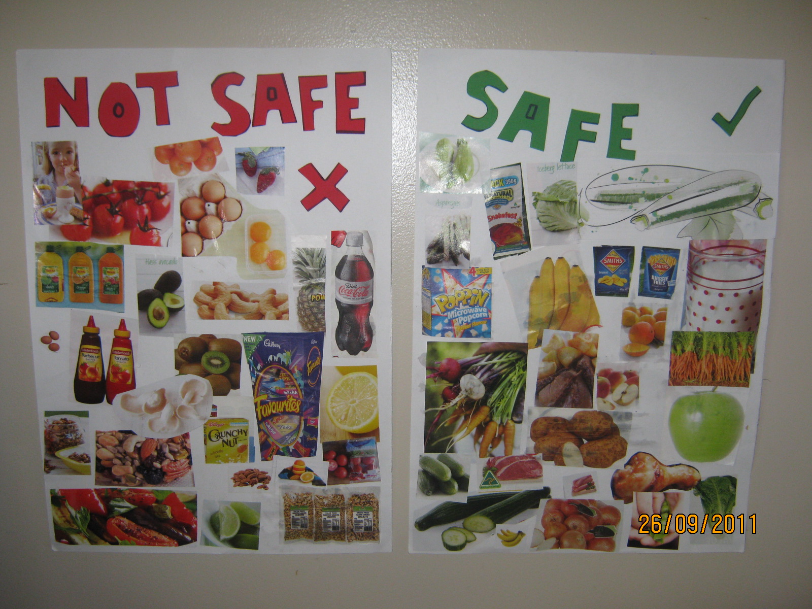 Sublime Shambles of a Shell: Homemade allergy food posters