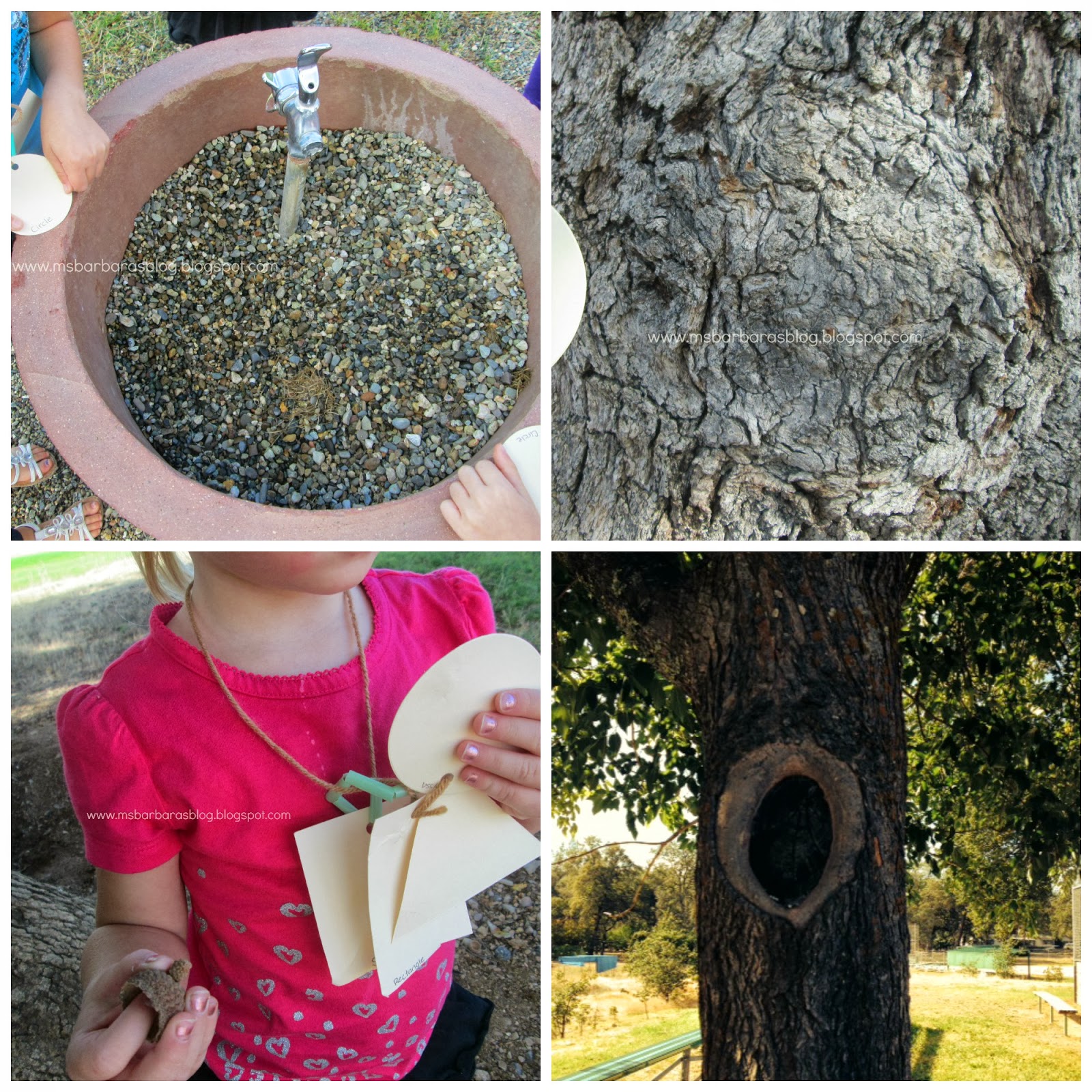 For the Children: Preschool Shape Hunt...in the Great Outdoors