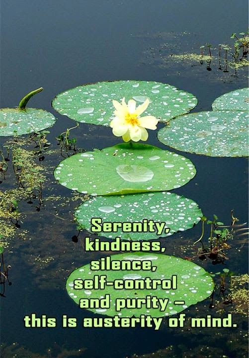 SERENITY,KINDNESS,SILENCE,SELF-CONTROL AND PURITY- THIS IS AUSTERITY OF ...