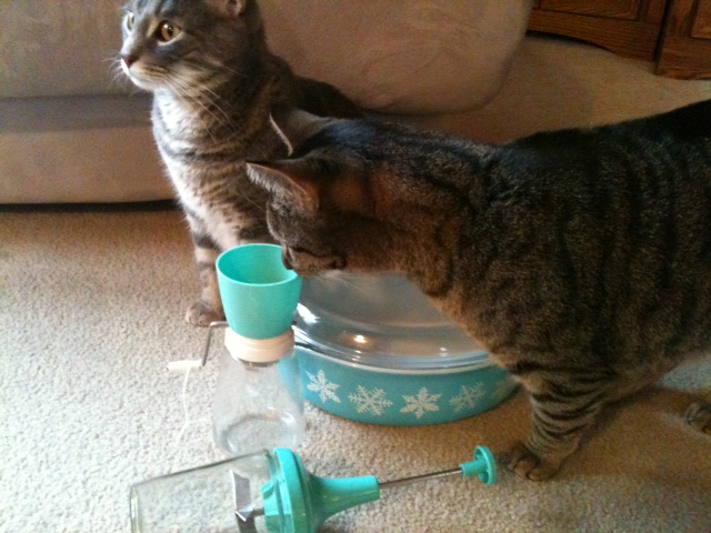 Pyrex Collective III: Cat Adventures in Pyrex