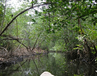 Reservas ecológicas del Ecuador