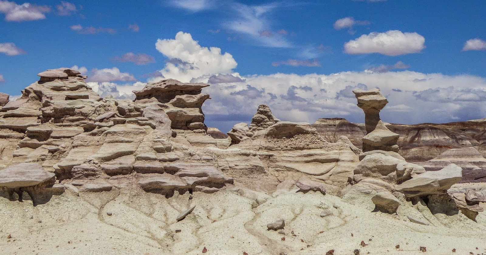 cruisingat60: And lived to tell about it