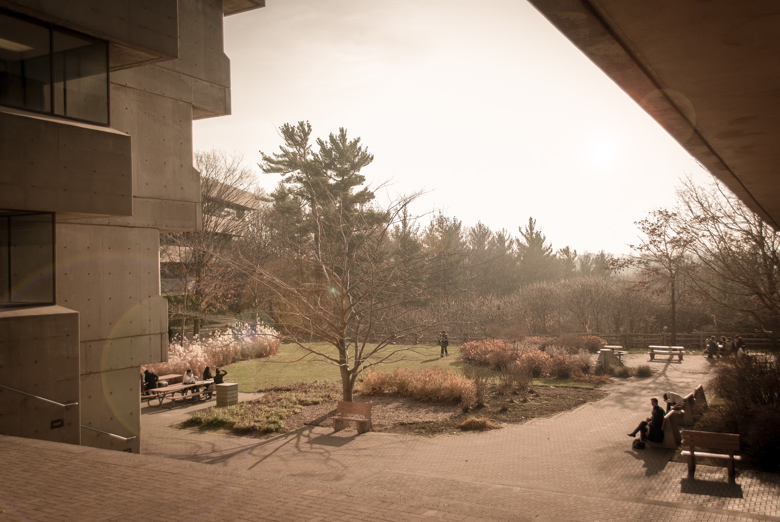 UTSC Pulse: UTSC: Changing Views