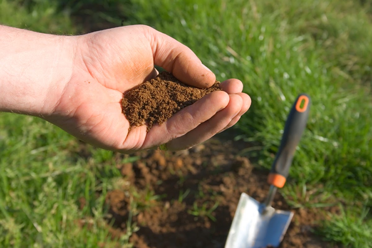 Science online: The types and the properties of the soil