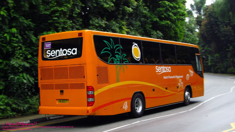 (buses[IN]gapore!): Sentosa buses' new livery!