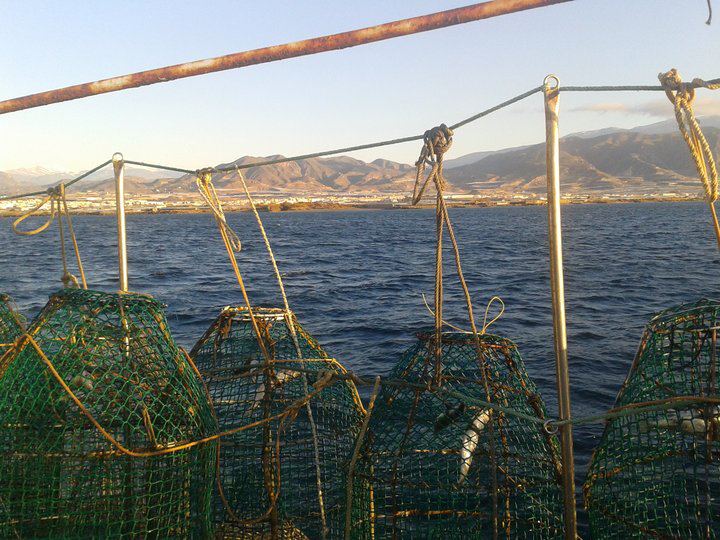Porque se prohíbe la utilización de nasas dirigidas a la captura de peces